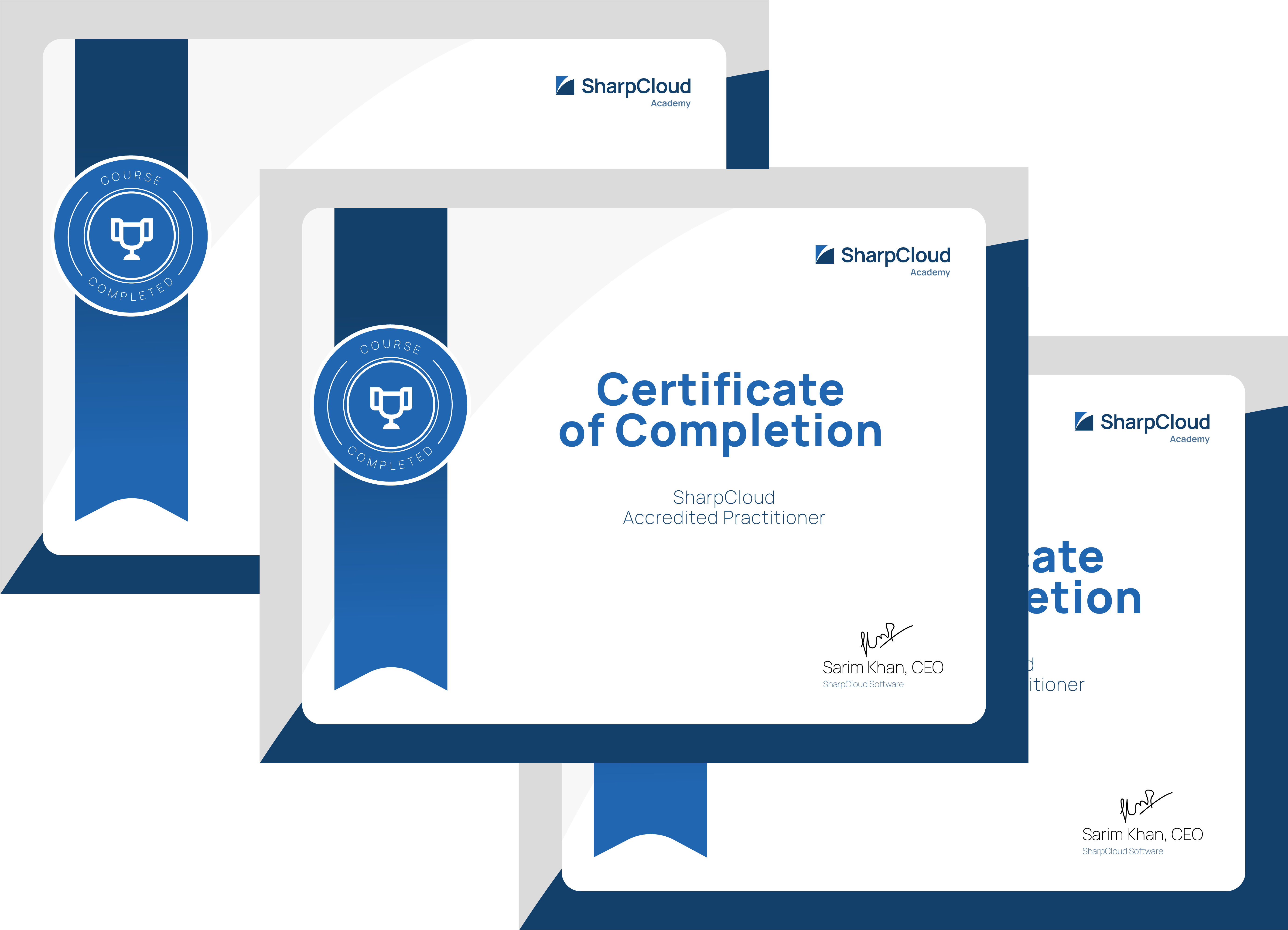 SharpCloud Training led by SharpCloud experts